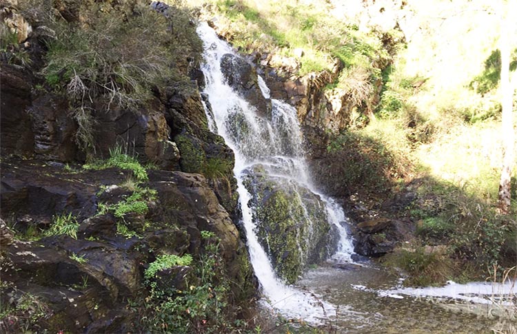 Top 10 Adelaide Walks | Get Outdoors in Adelaide