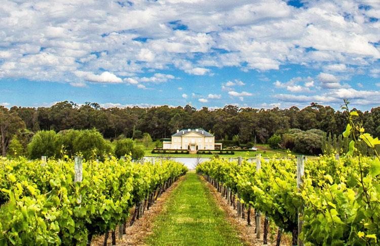 7 Day South West Wanderer: Margaret River Self Drive Tour