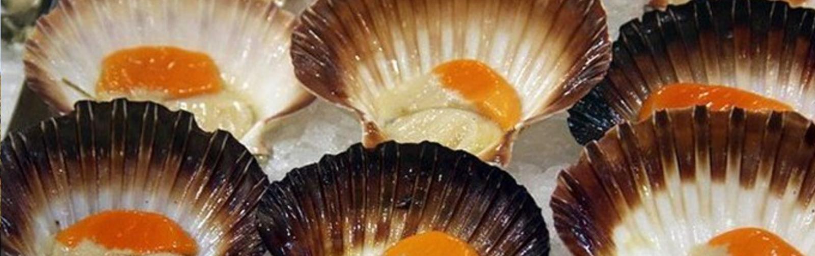 The Ultimate Tasmania Seafood Guide | First Light Travel Blog